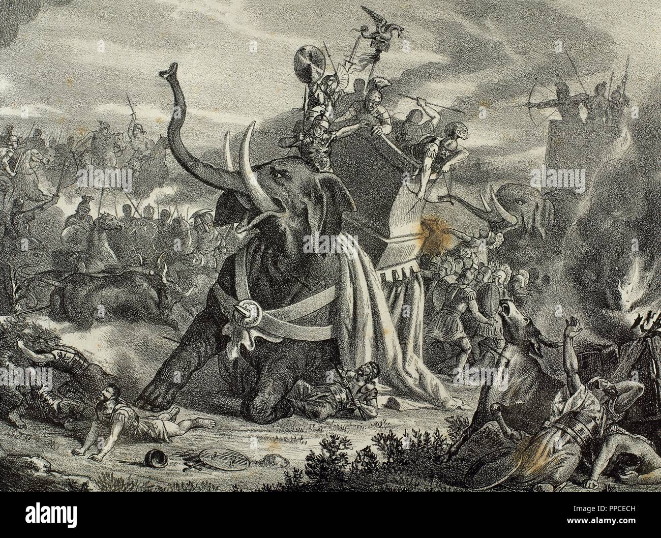 Helike hi-res stock photography and images - Alamy