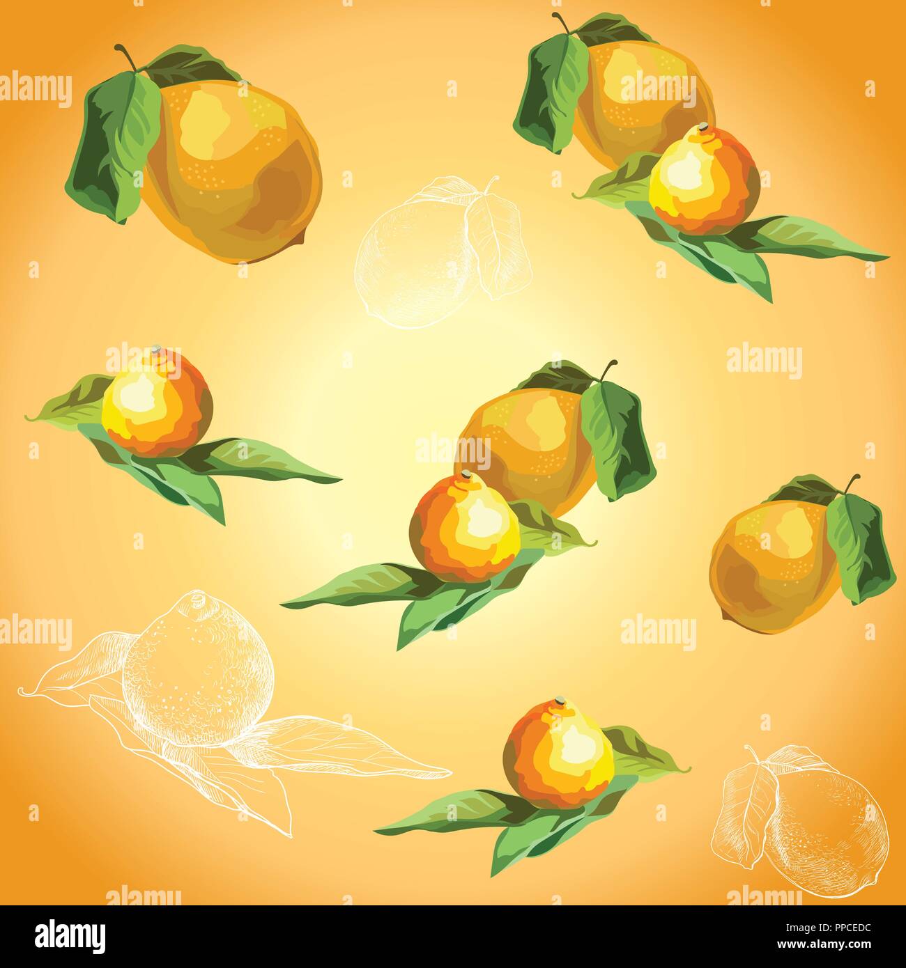 Seamless pattern lemon fruit Stock Vector Images - Alamy