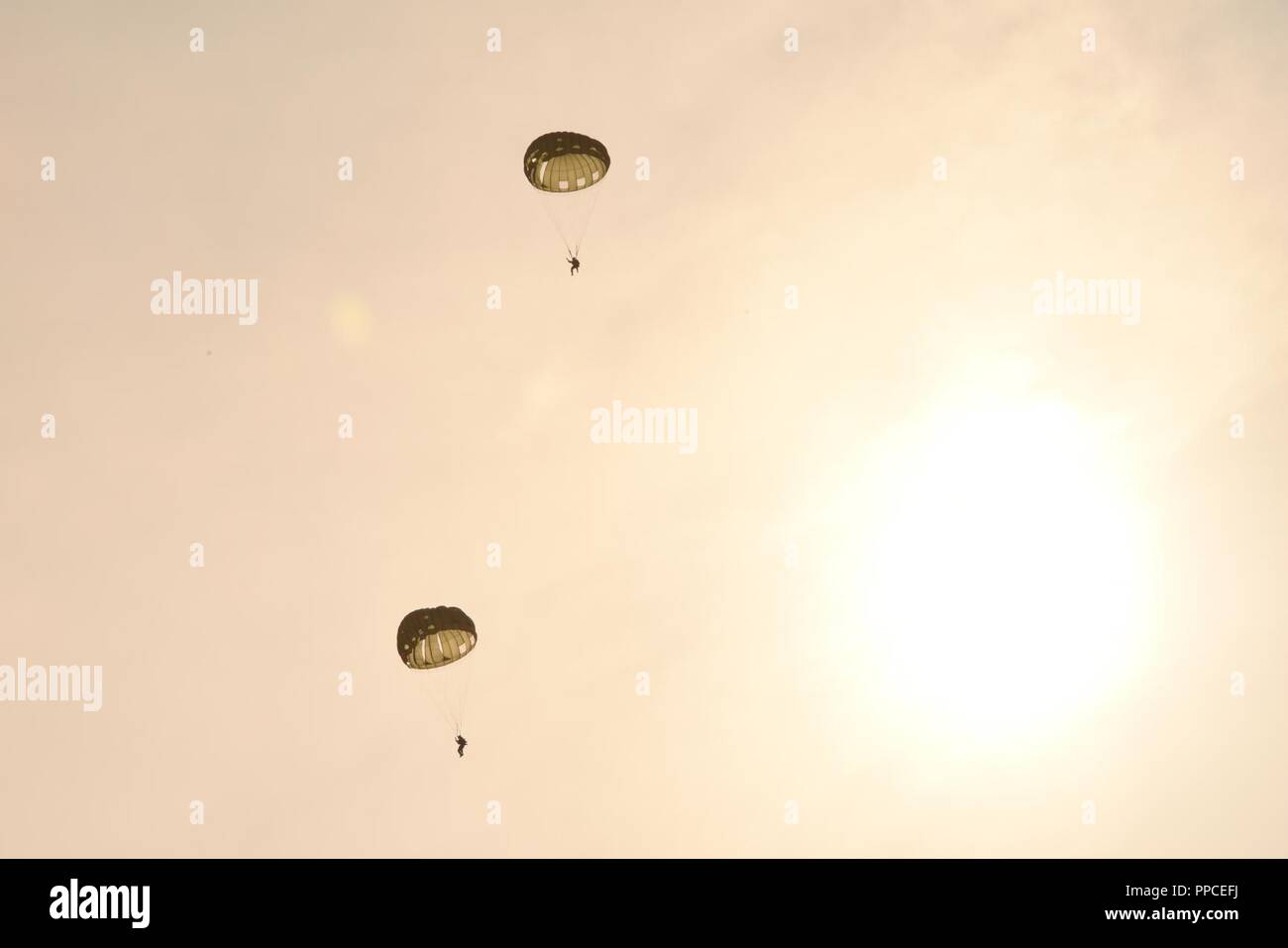 Marines perform a static line jump from an AC-130 at Fort McCoy, Wis ...