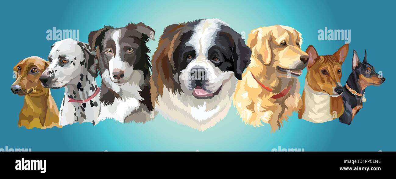 Basenji Golden Retriever Mix