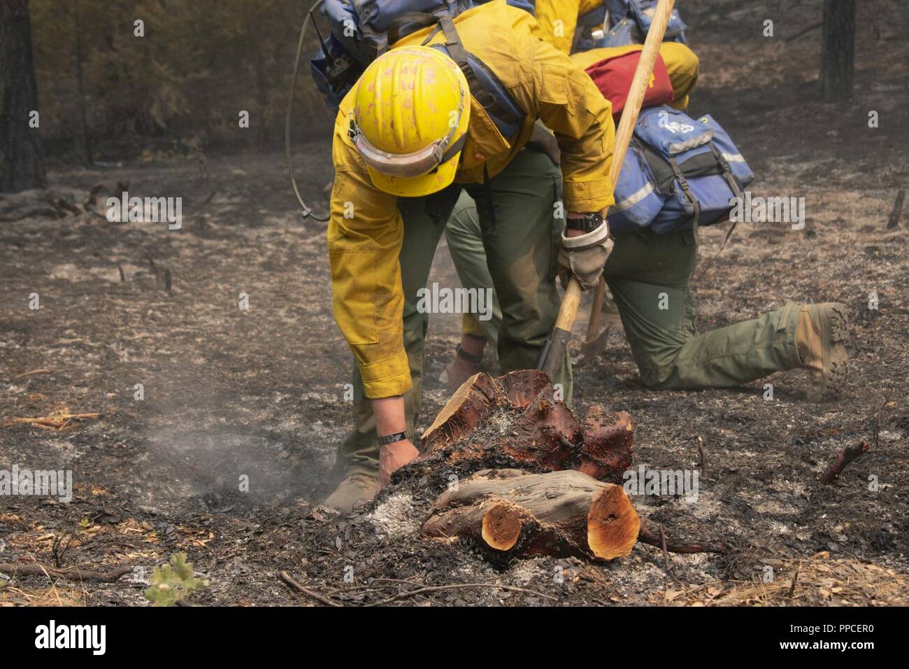 Task Force Rugged Soldiers stationed at Joint Base Lewis-McChord, Wash ...