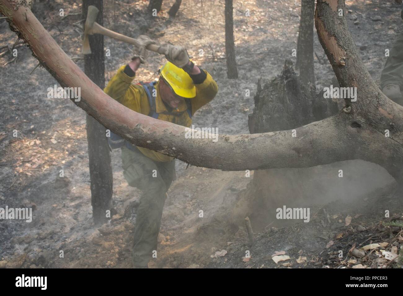 Task Force Rugged Soldiers stationed at Joint Base Lewis-McChord, Wash ...