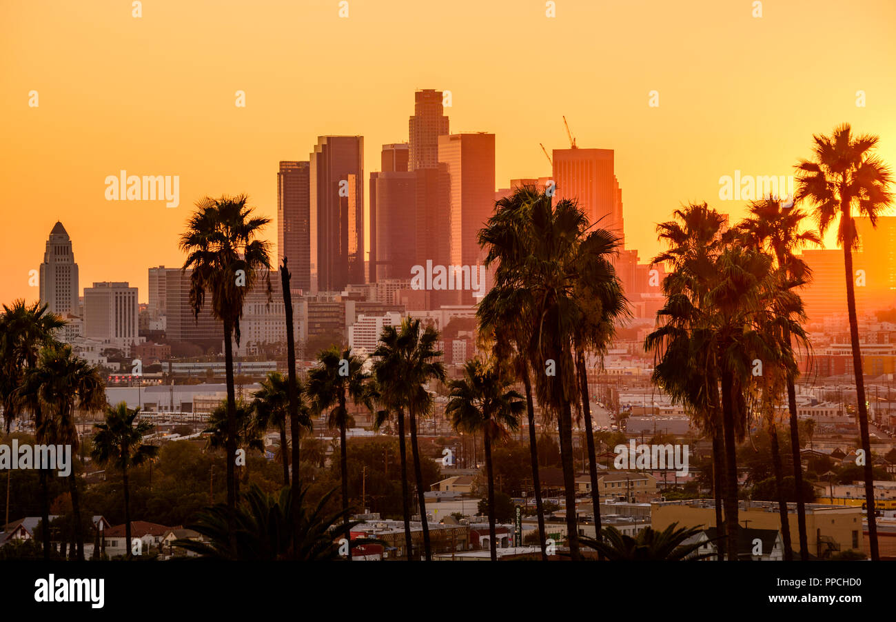 Los Angeles Sunset