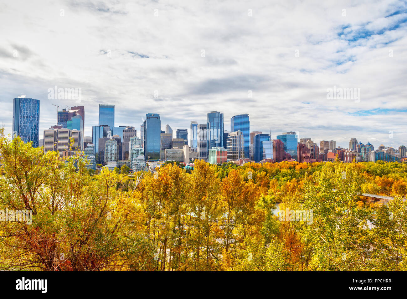 Calgary downtown skyline during Fall or Autumn with colorful trees ...