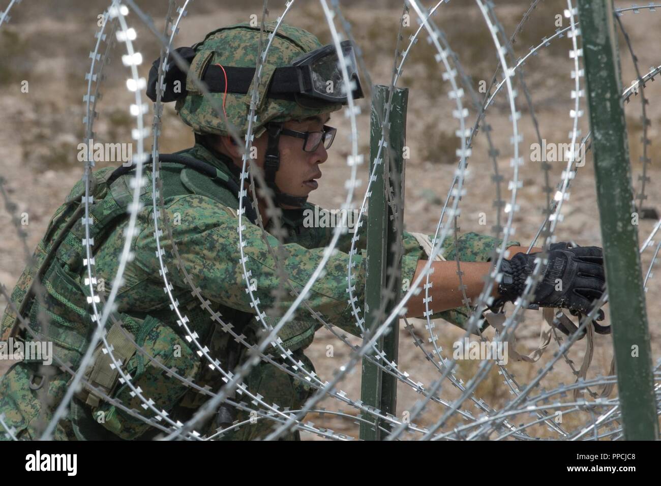 The Valiant Soldier High Resolution Stock Photography and Images - Alamy