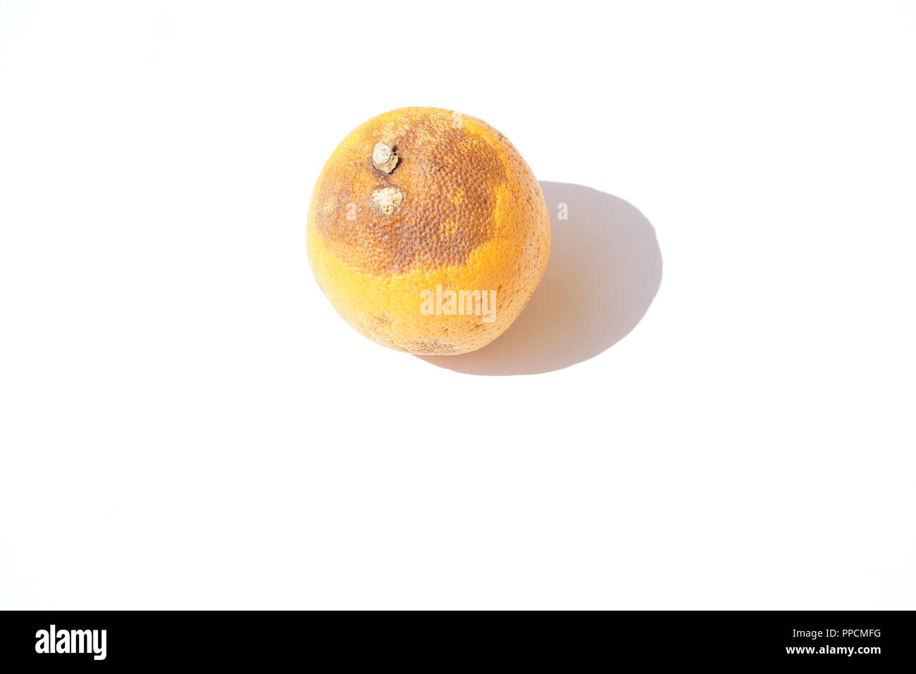 Orange with some color changed in the sun Stock Photo - Alamy