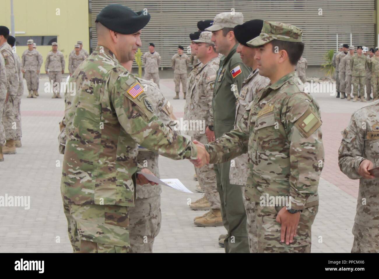 Estrella austral hi-res stock photography and images - Alamy