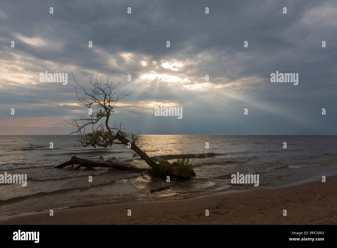 Southwick beach state park hi-res stock photography and images - Alamy