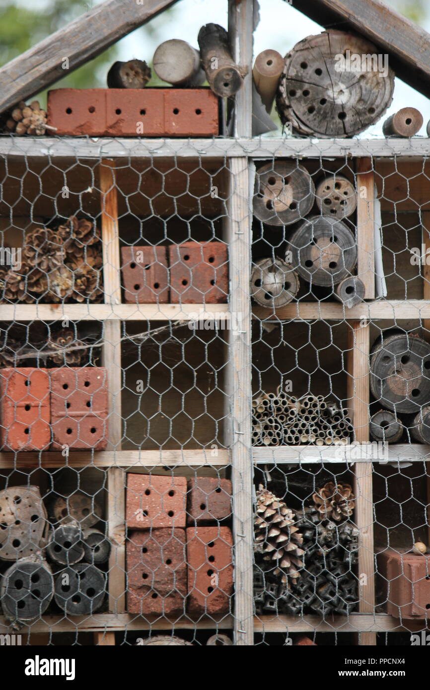 Variety of textures and holes offered as a bee nesting house and lure ...