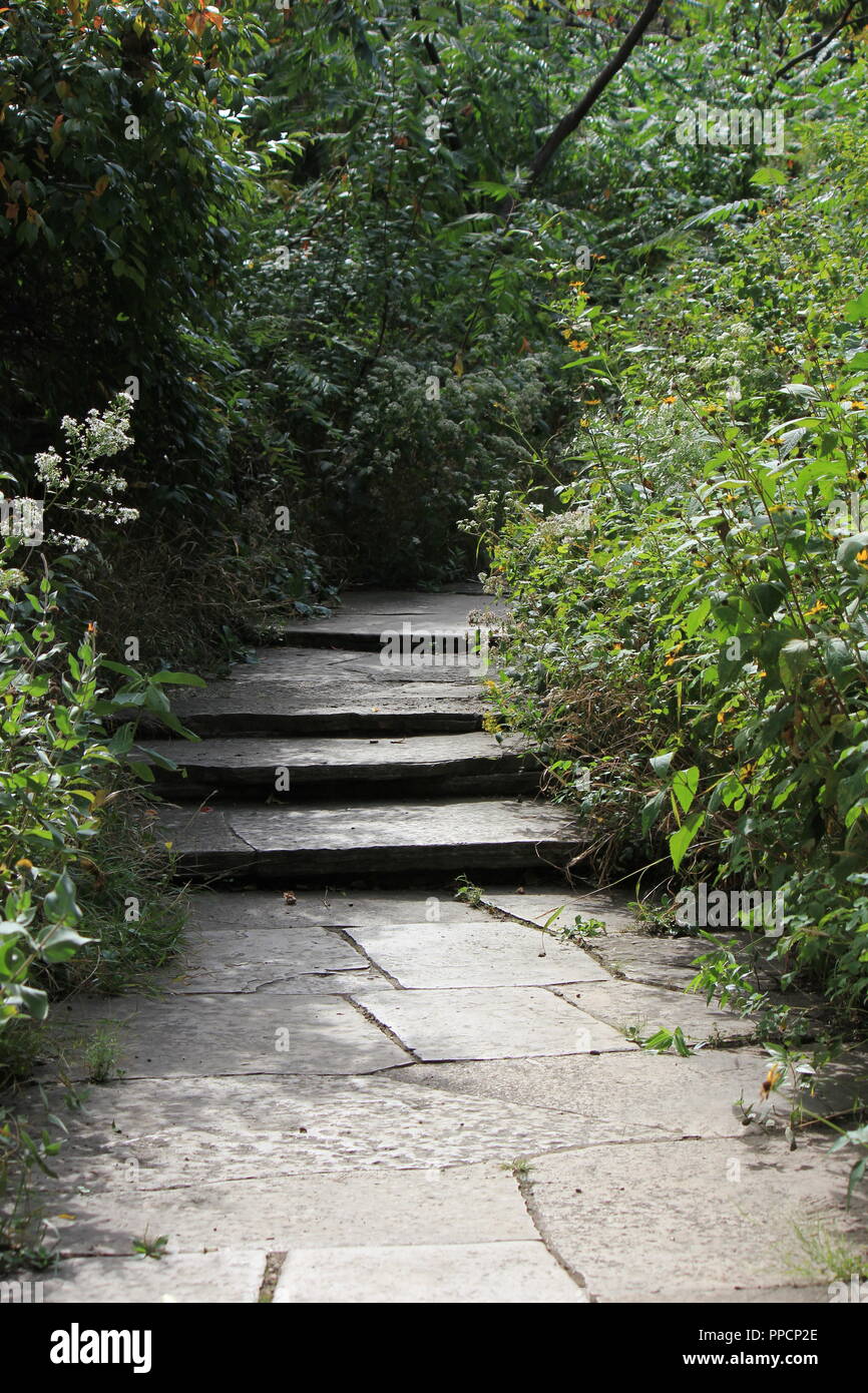 Stepping stone paths hi-res stock photography and images - Alamy
