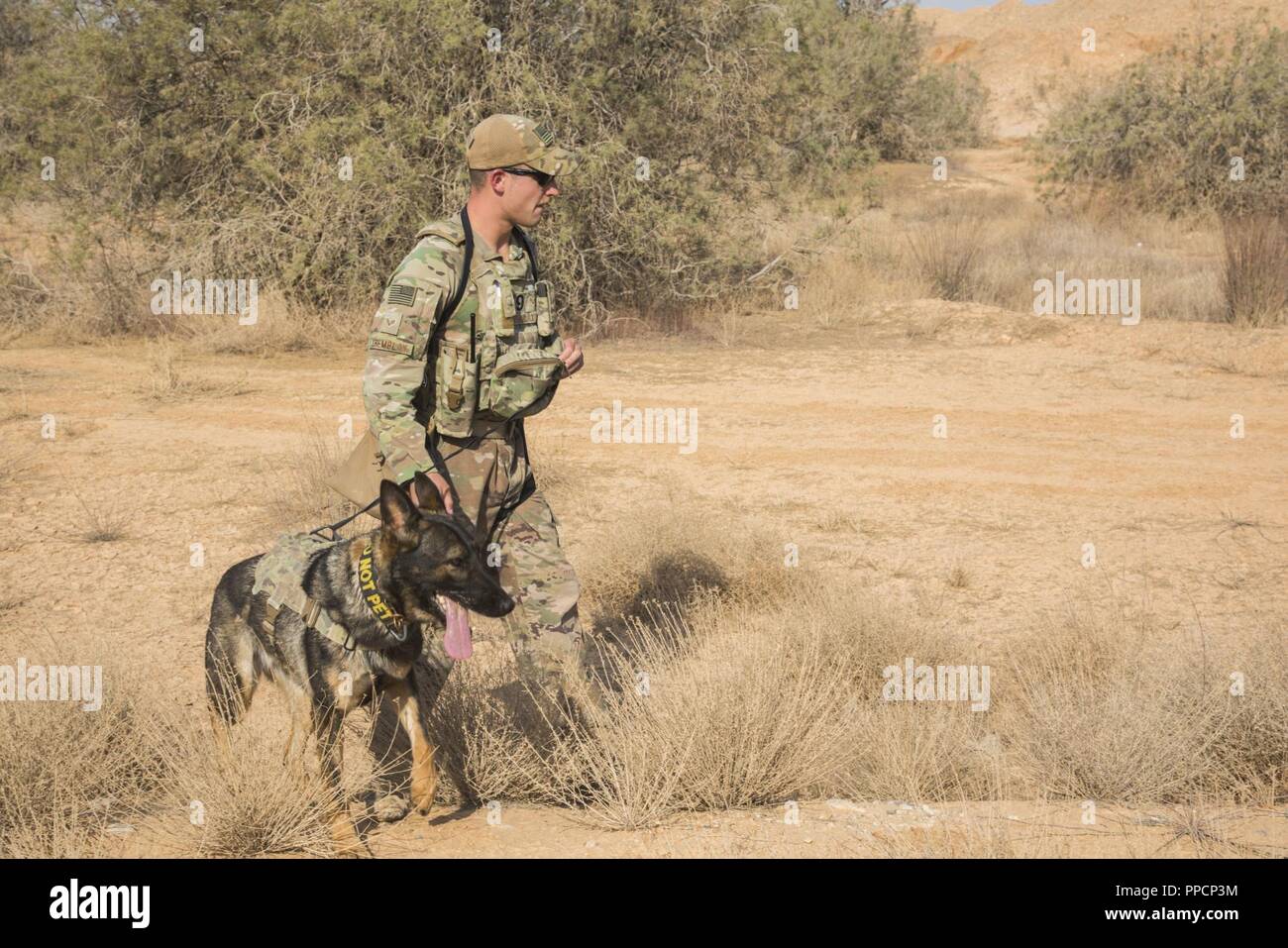 332 Esfs High Resolution Stock Photography and Images - Alamy