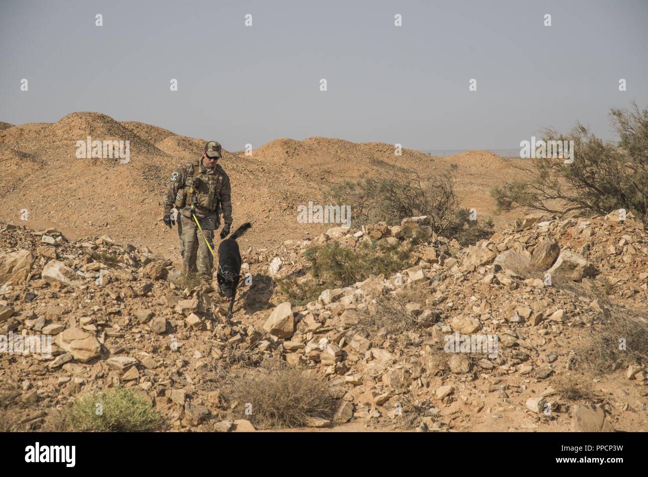 Drugs stronger than humans hi-res stock photography and images - Alamy