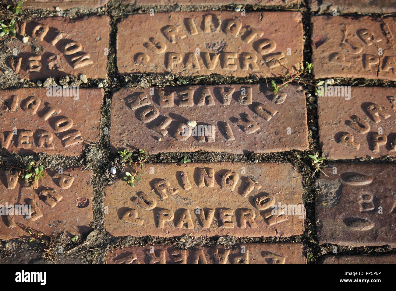 Alternating Purington Paver bricks lining a walkway Stock Photo - Alamy