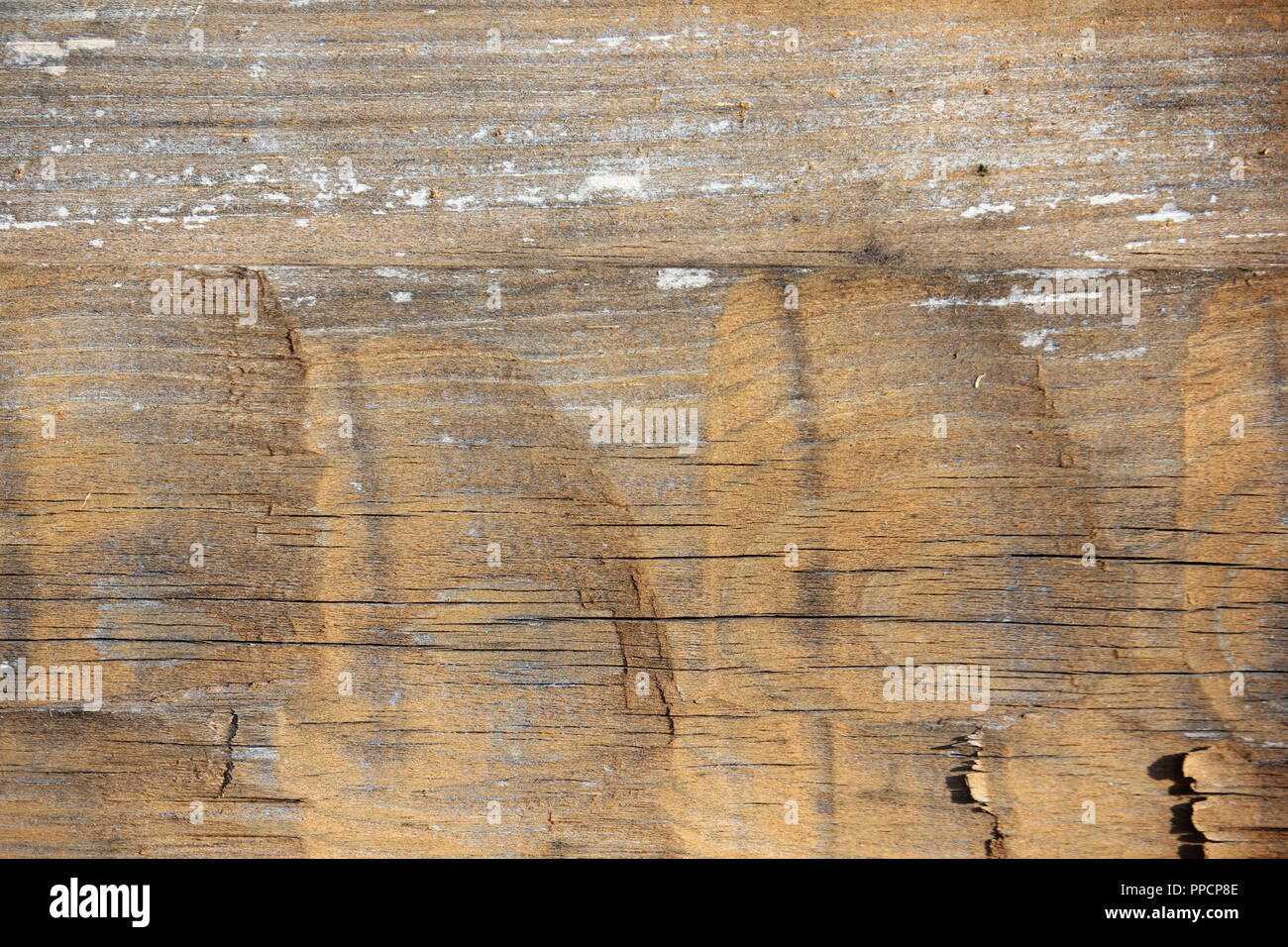 Fine example of old construction techniques of carving solid wood logs ...