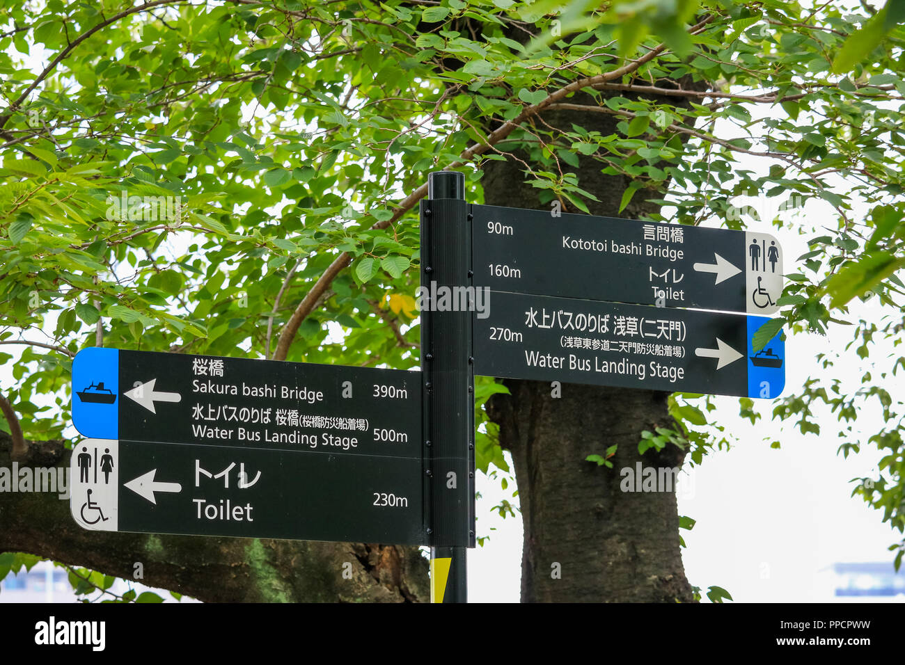 Street Sign with arrows pointing in directions Stock Photo - Alamy