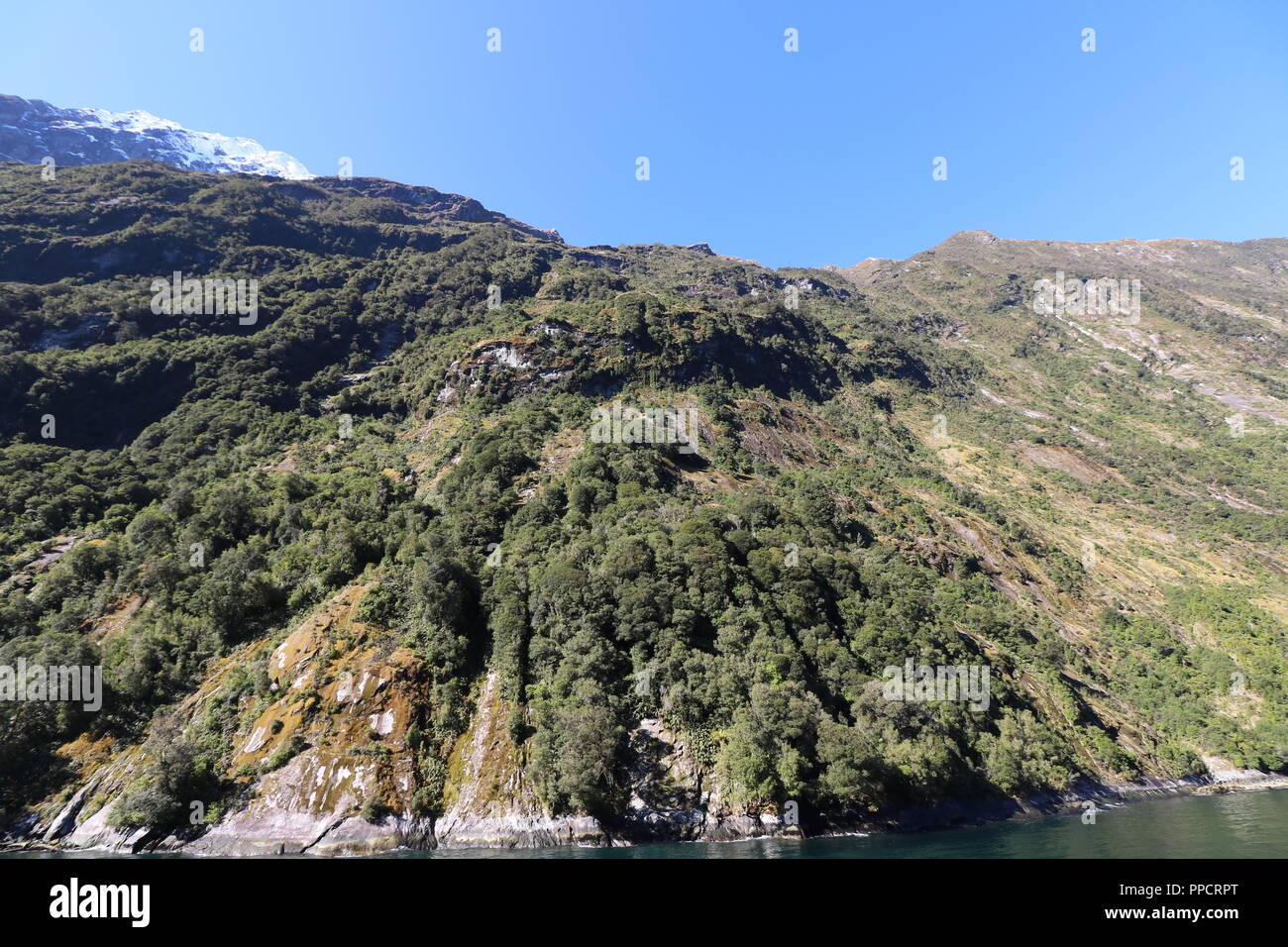 Fjordland New Zealand , Milford Sound Stock Photo - Alamy