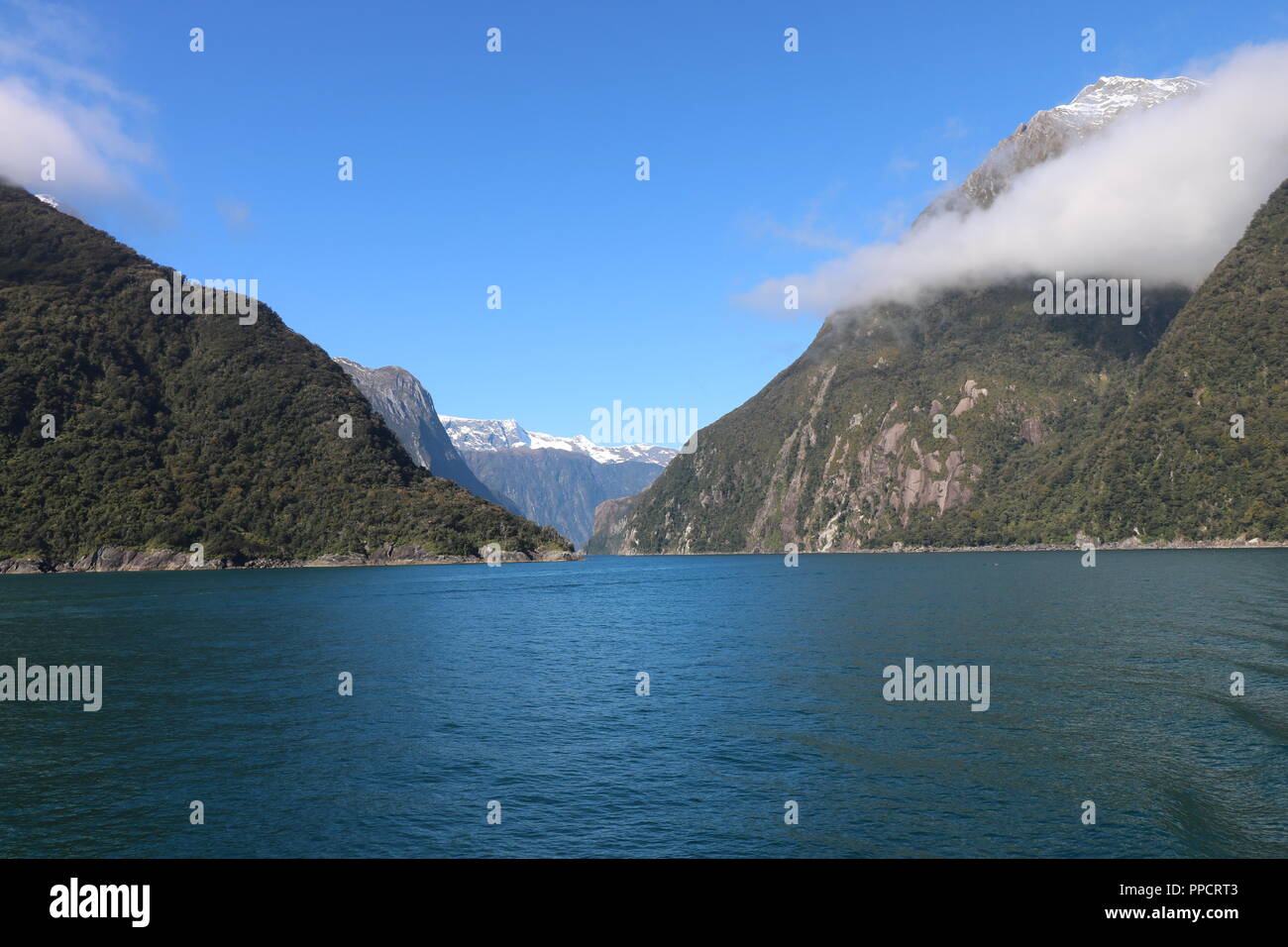 Nz fjordland hi-res stock photography and images - Alamy