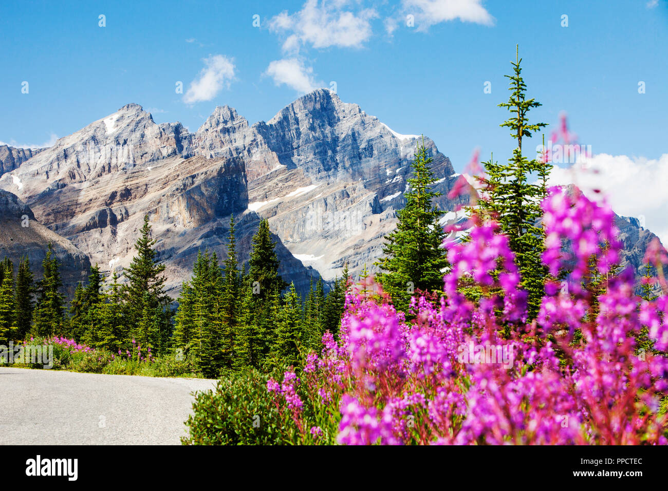 Scenery above the stunningly beautiful Peyto Lake in the Canadian ...