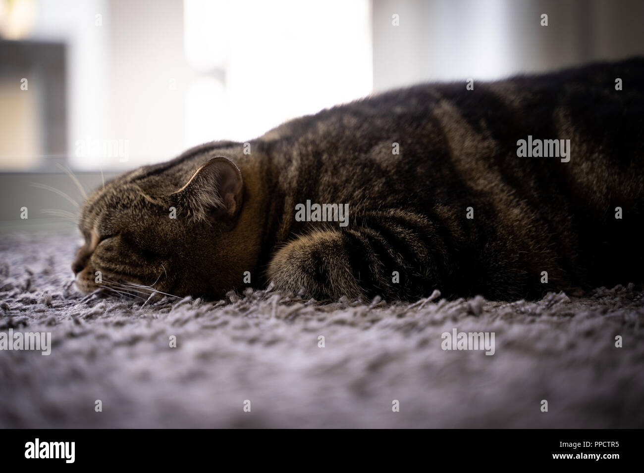 Smile sleep black icon hi-res stock photography and images - Alamy