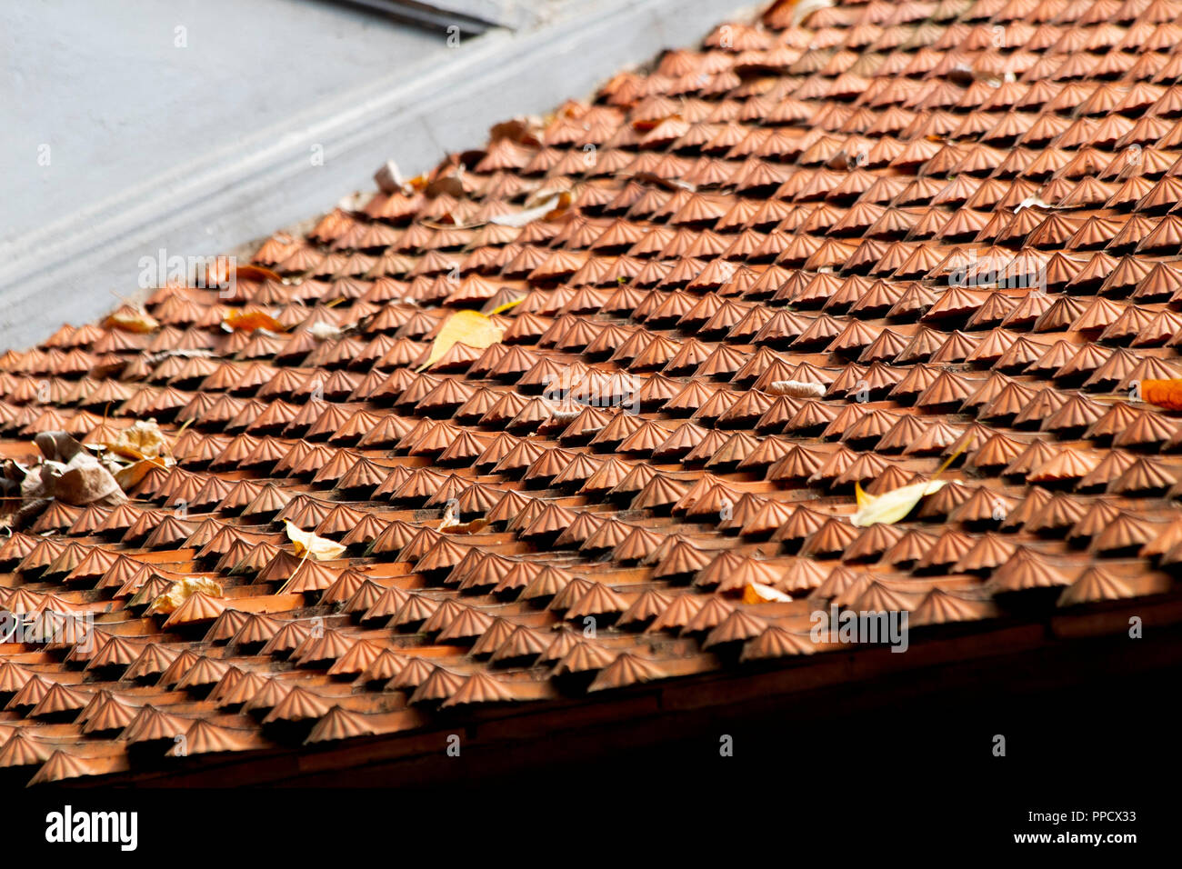 Clay roof tiles on traditional Vietnamese temple Stock Photo - Alamy