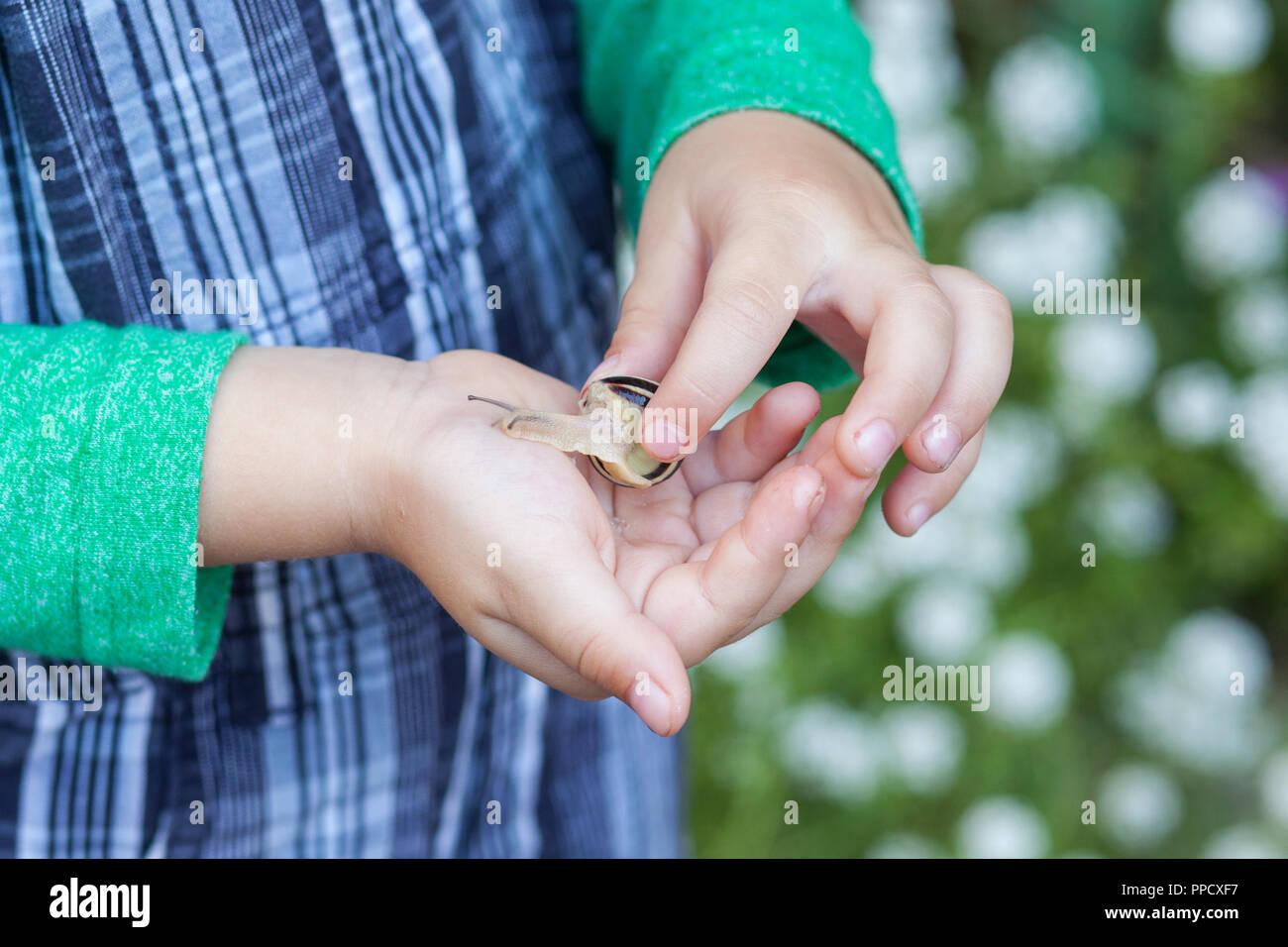Child holding a snail hi-res stock photography and images - Alamy