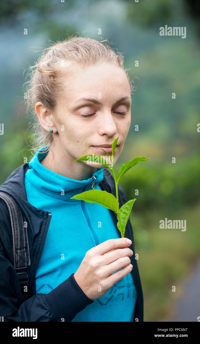 Sniffing a leaf hi-res stock photography and images - Alamy
