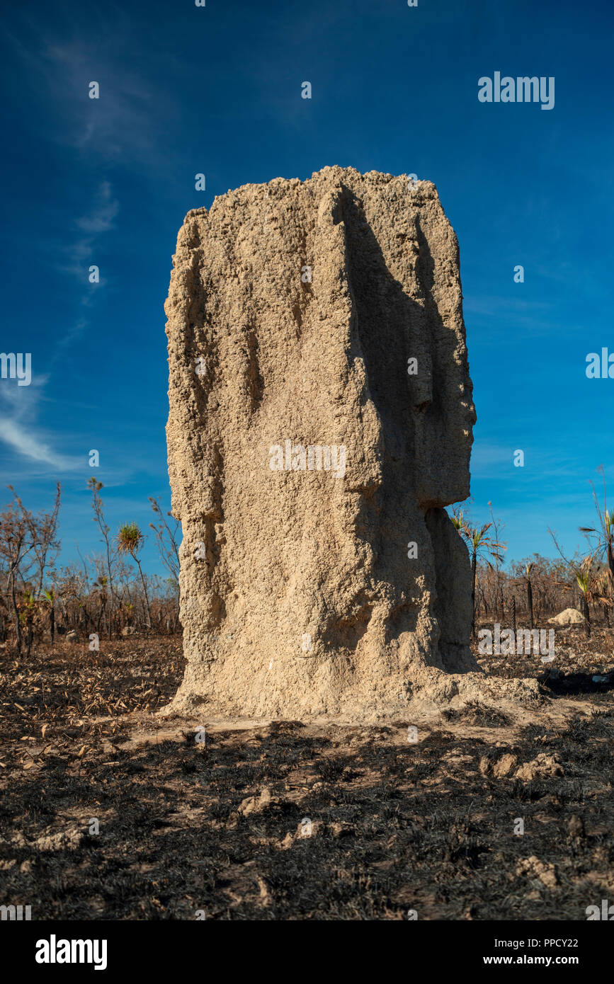 Magnetic Termite Mounds, Litchfield National park, Northern Territory ...