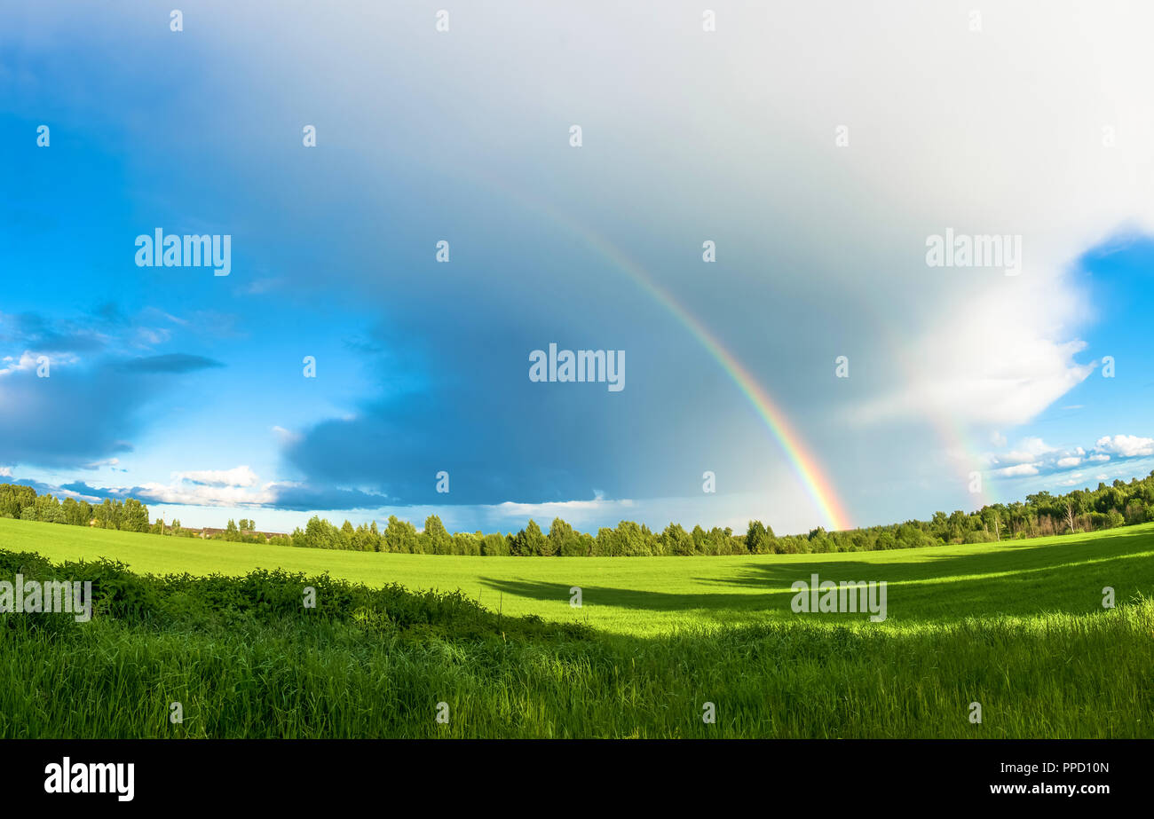 Bright multi-colored rainbow over the green field on the background of ...