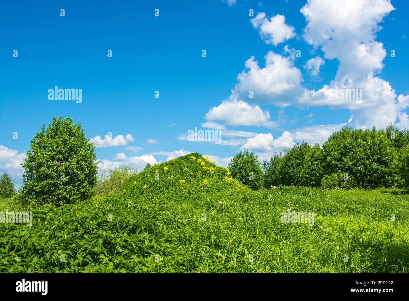 The big green hill with yellow flowers on the background of beautiful ...