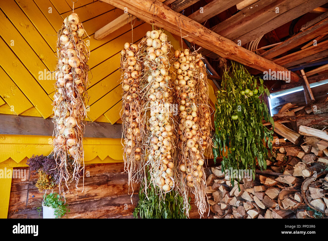 Hanging to dry onion hi-res stock photography and images - Alamy