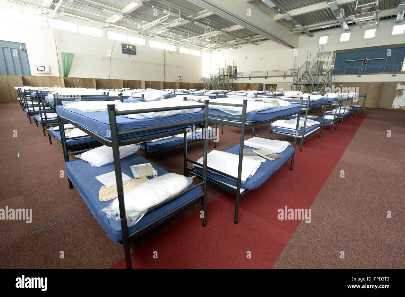 Bunk beds in a gym in Taufkirchen, which was converted into a shelter ...