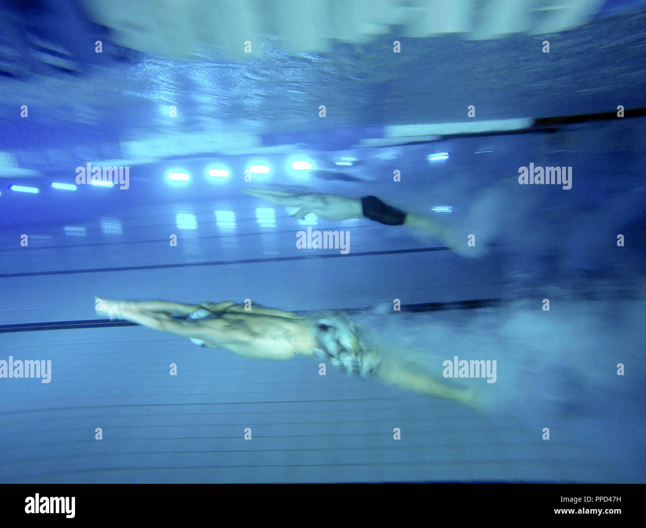 Swimmers at the "Head-Trophy" swim festival in the Munich ...