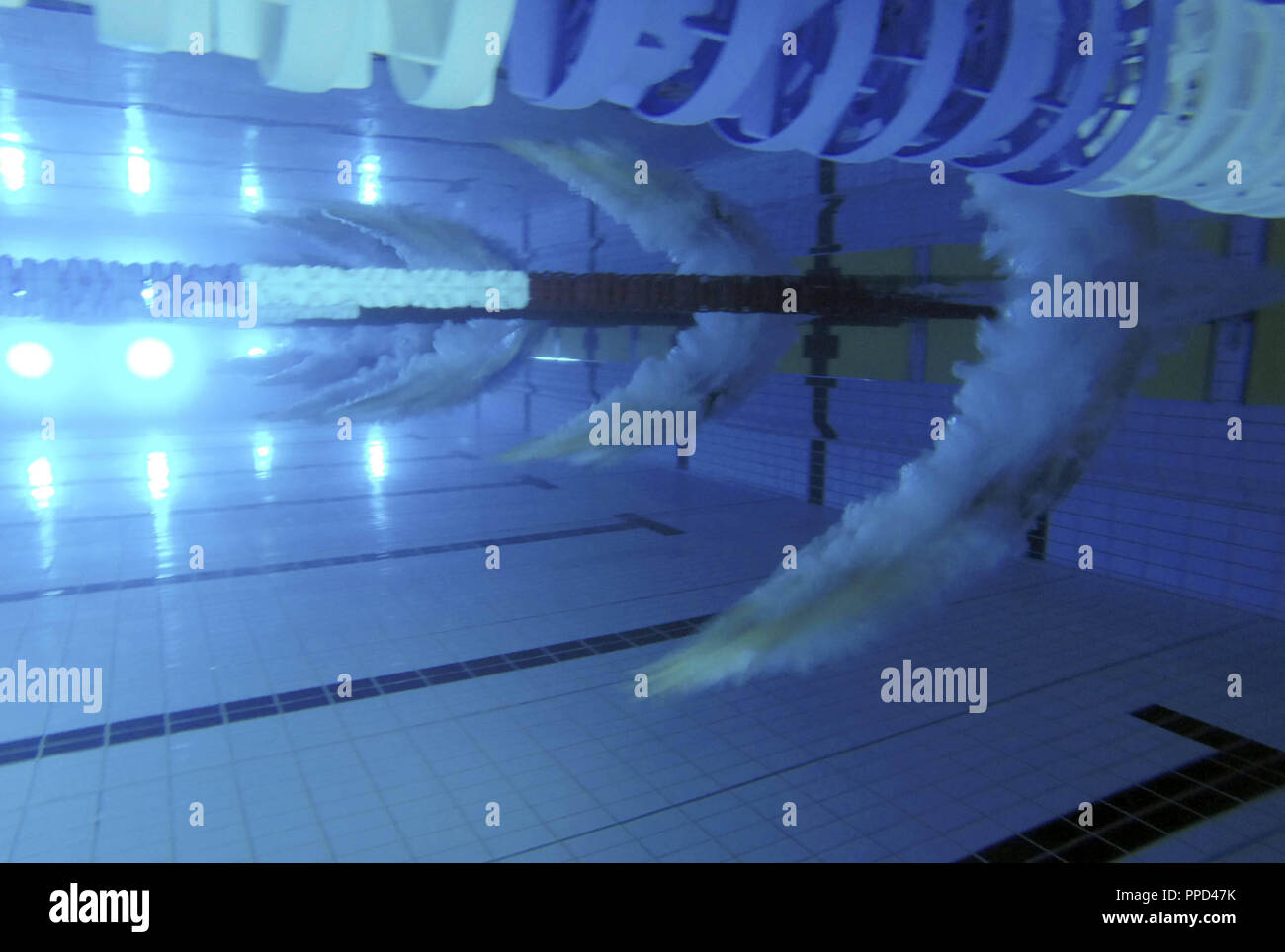 Junior swimming pool hi-res stock photography and images - Alamy