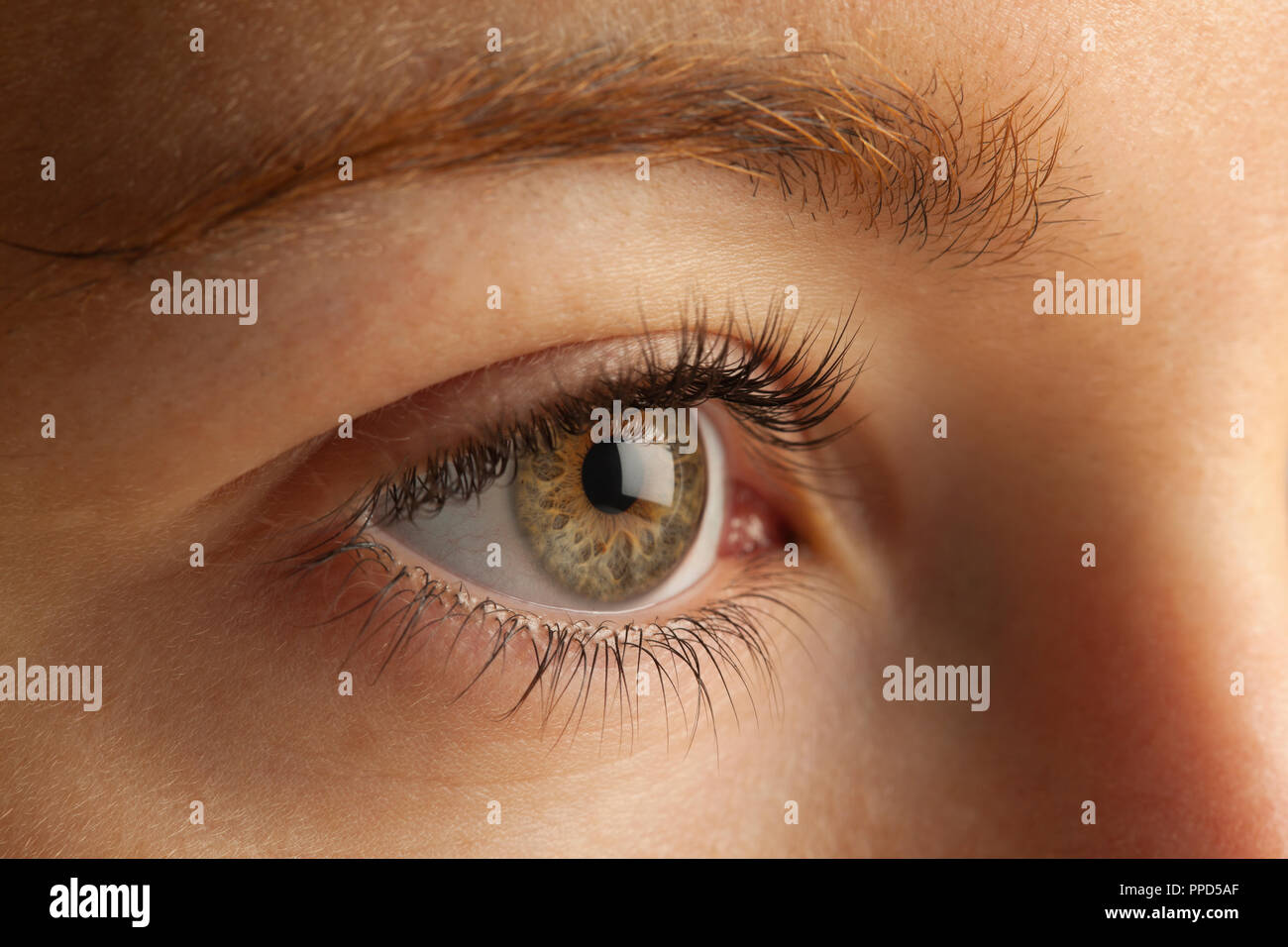 Sight pupil iris make up nose eyebrow female hi-res stock photography ...