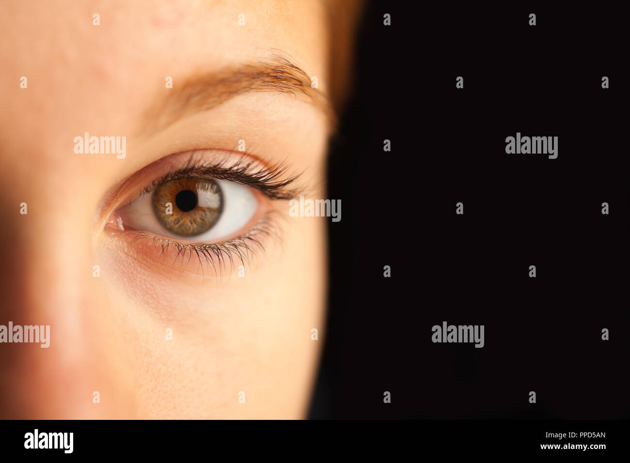Sight pupil iris make up nose eyebrow female hi-res stock photography ...