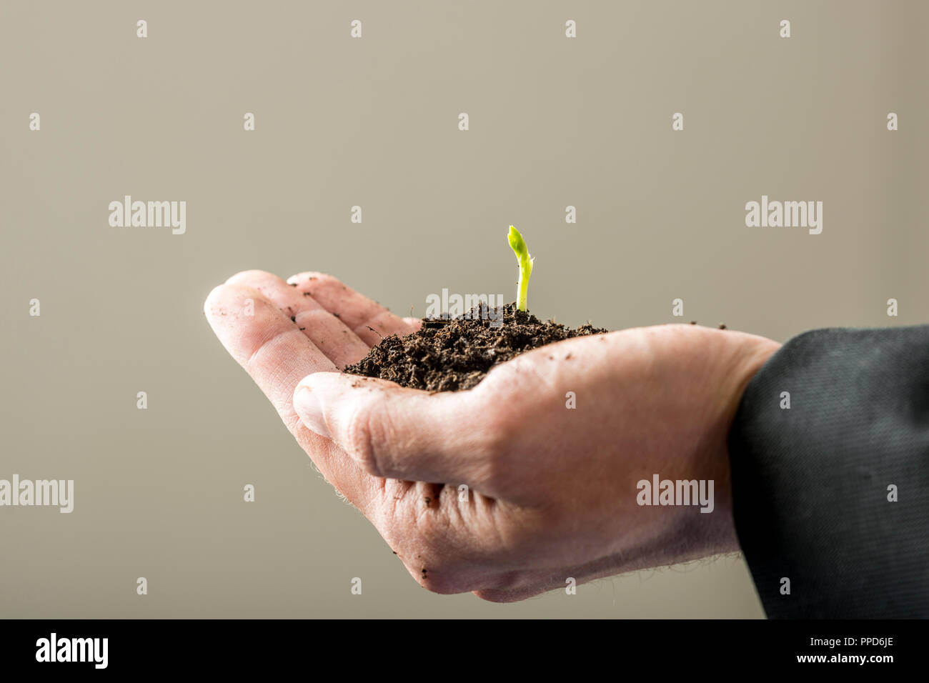 Male hand holding a sprouting plant in rich fertile soil in a ...