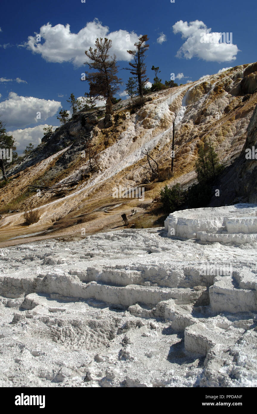 MAMMOTH HOT SPRINGS. Travertine marble mountain and geothermal complex ...