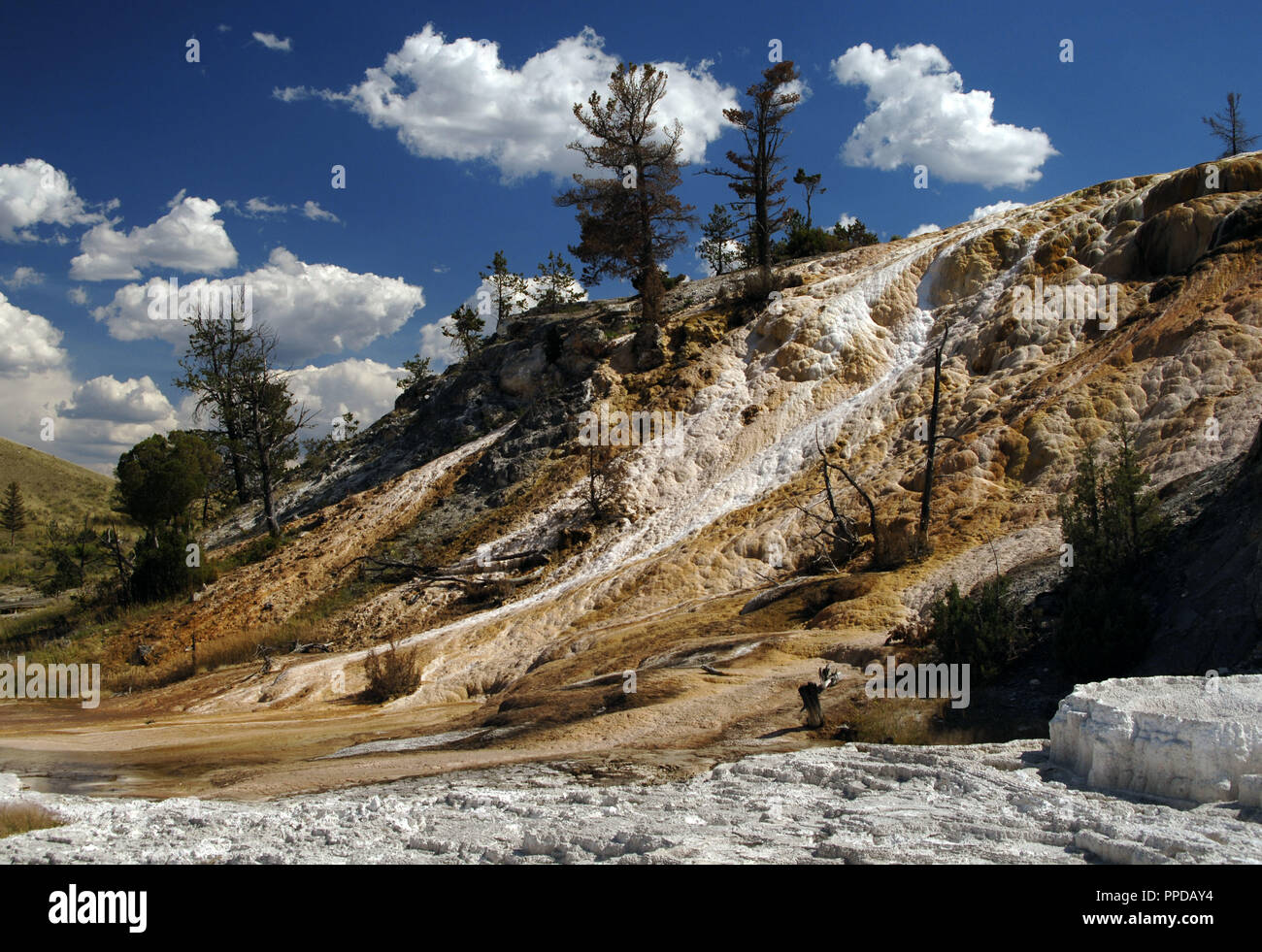 MAMMOTH HOT SPRINGS. Travertine marble mountain and geothermal complex ...