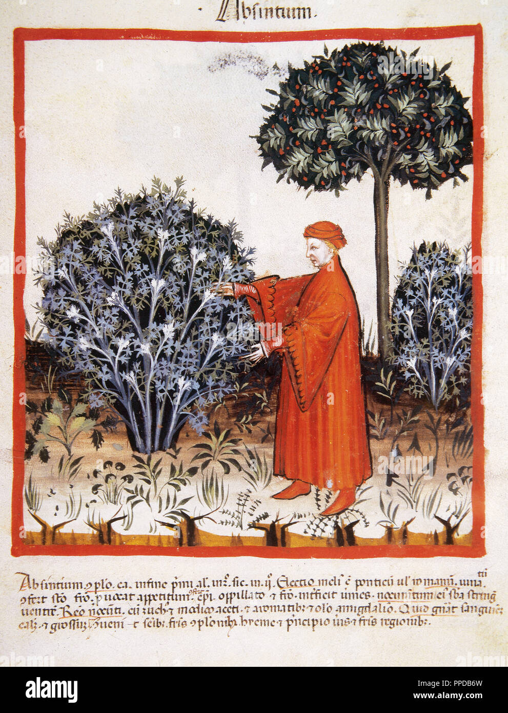 Tacuinum Sanitatis. Medieval Health Handbook, dated before 1400, based ...