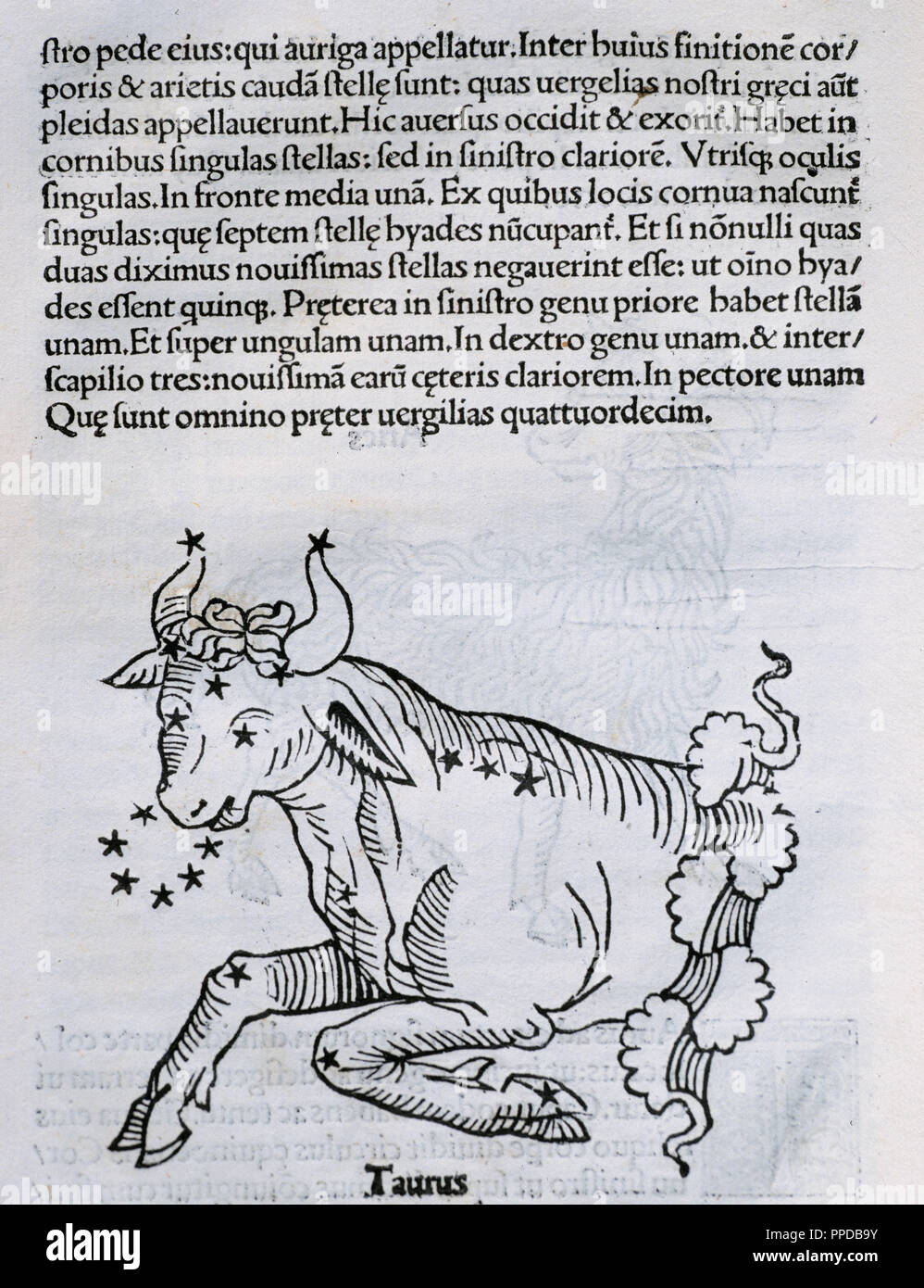 TAURUS. Zodiacal constellation. Engraving of the work "ASTRONOMICON" by ...
