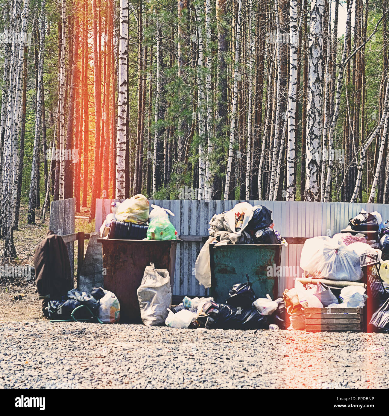 Litter box full of garbage in forest. Concept of ecology problem. Toned ...