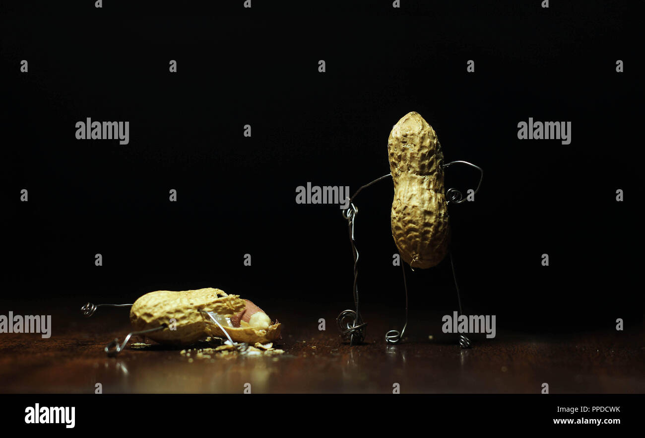 One peanut hi-res stock photography and images - Alamy