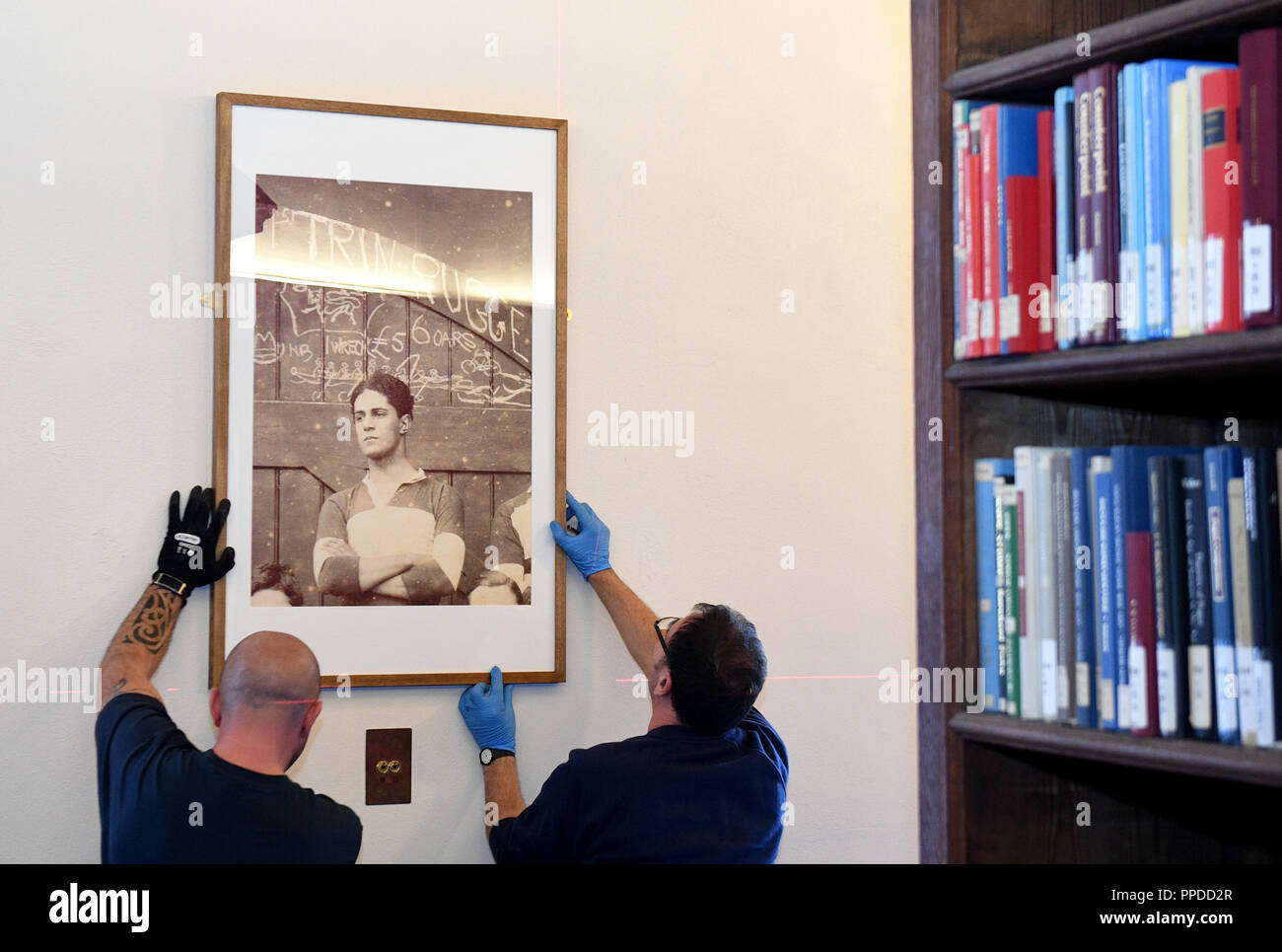 University of Cambridge Library carpenters hang a portrait of the ...