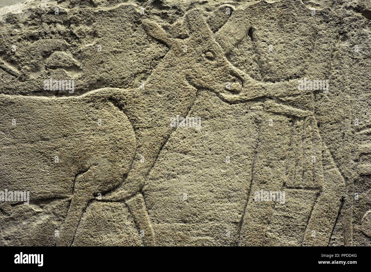 Egyptian style. Funerary relief. Detail of an antelope. 15th-14th ...