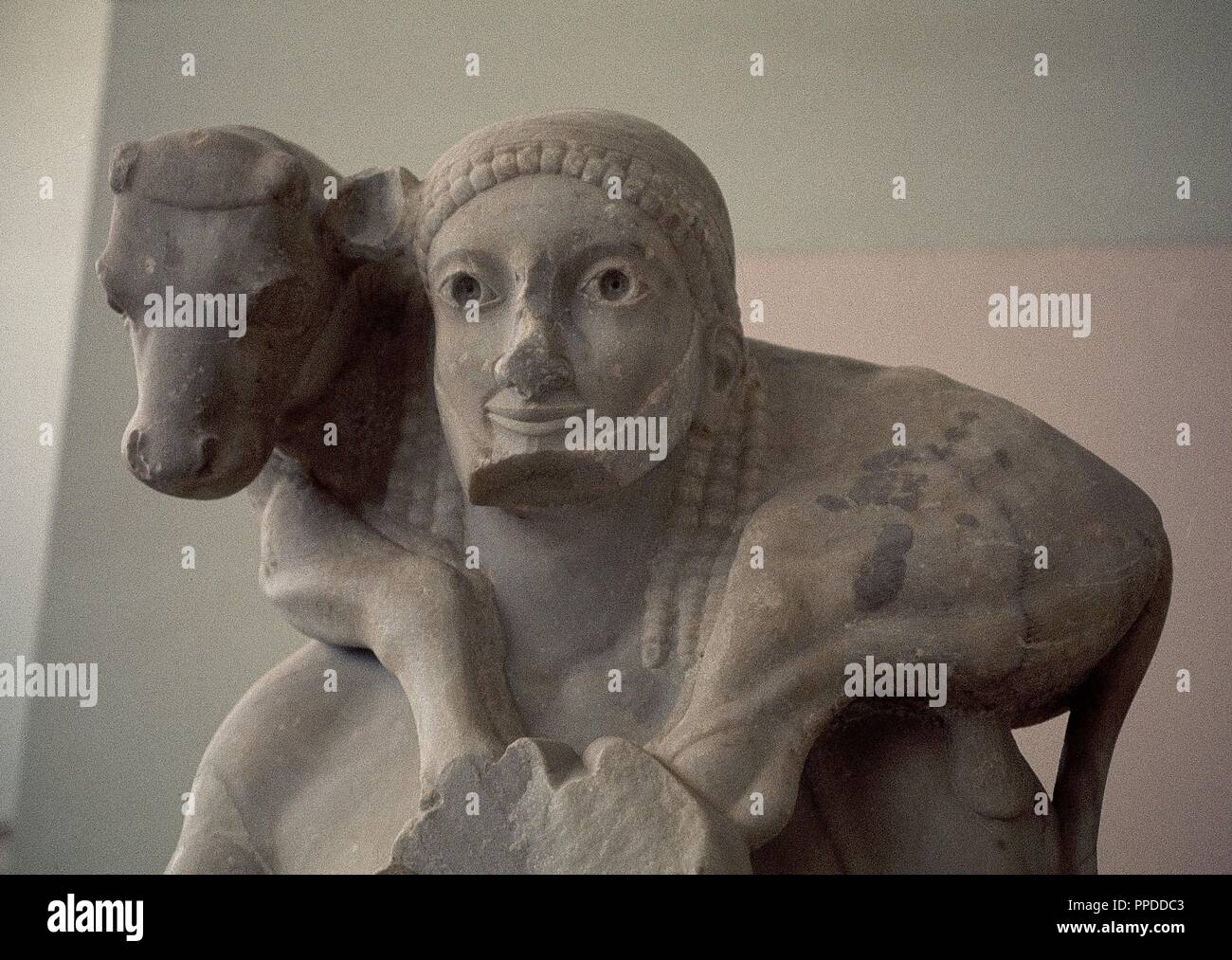 EL MOSCOFORO - 570 AC. Location: MUSEO DE LA ACROPOLIS. ATHENS Stock ...