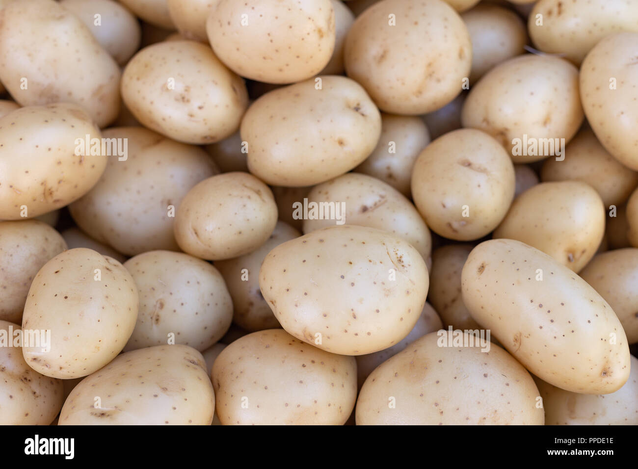Potato objects hi-res stock photography and images - Alamy