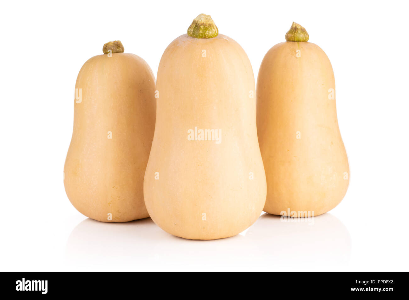 Group of three whole smooth pear shaped orange butternut squash waltham ...
