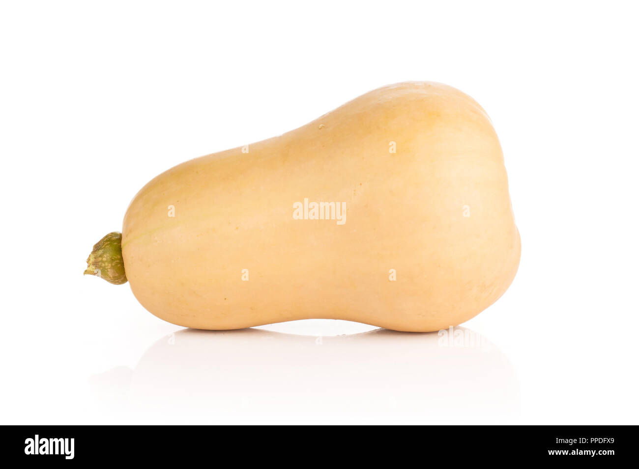 One whole smooth pear shaped orange butternut squash waltham variety ...