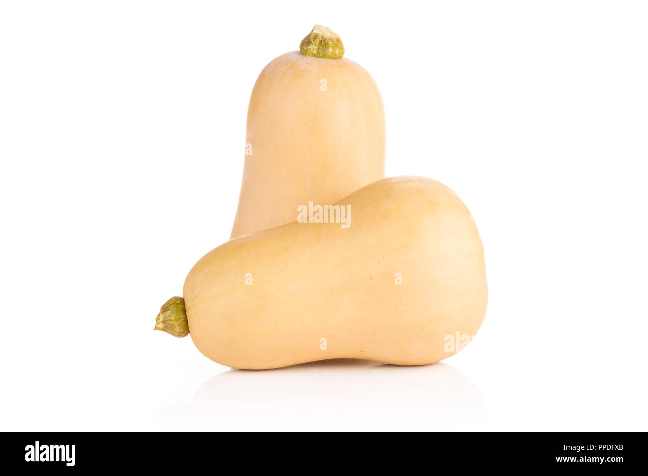 Group of two whole glossy smooth pear shaped orange butternut squash ...