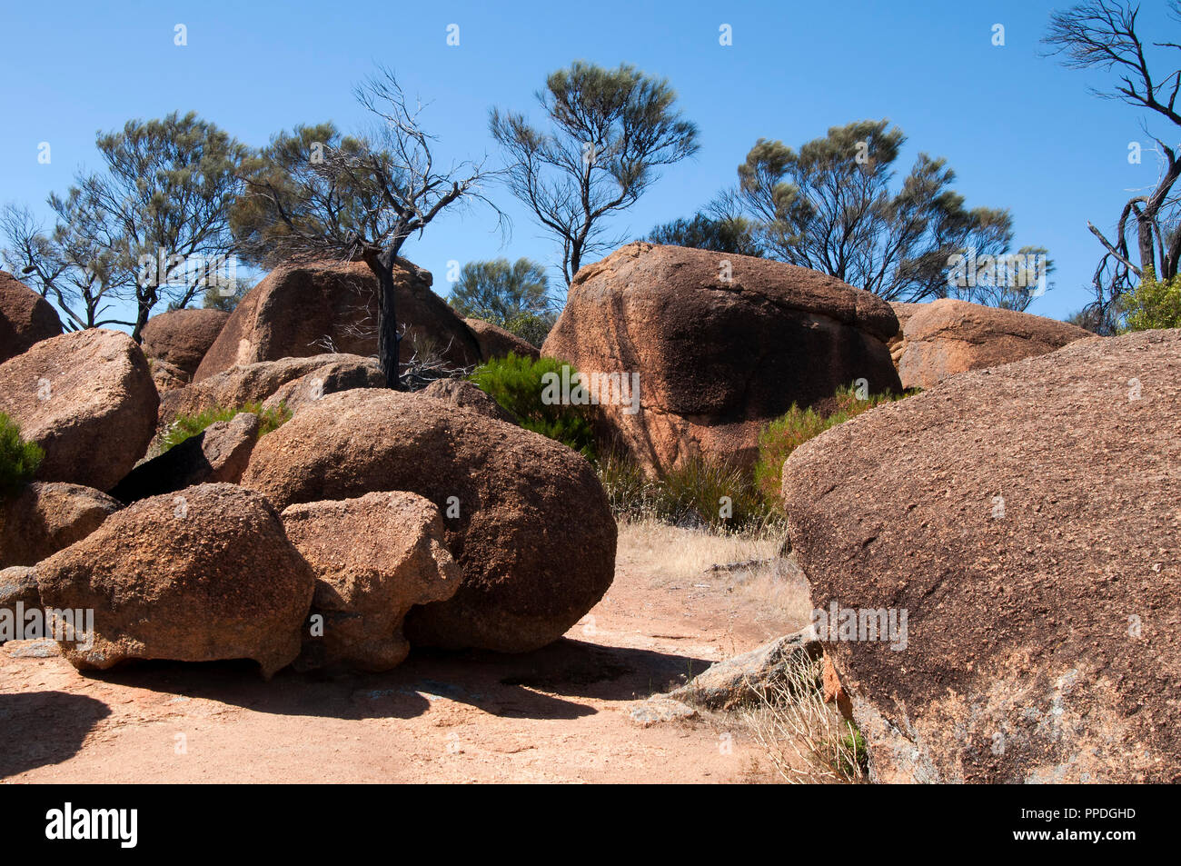Australian landscape western australia wave rock hyden hi-res stock ...